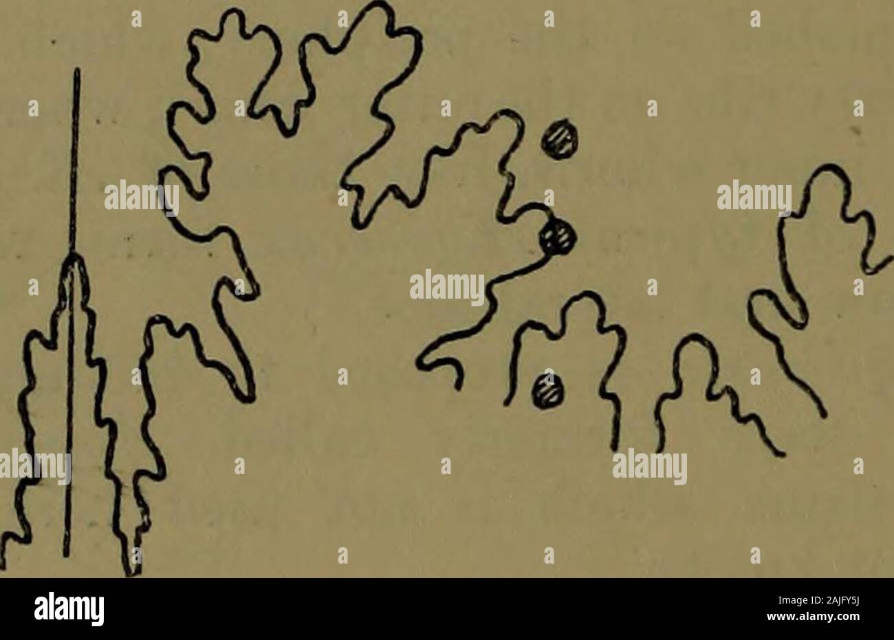 Height 47 mm hi-res stock photography and images - Alamy