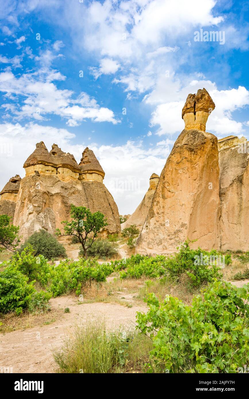 A walking path near fairy chimney rock formations in Devrent Valley ...