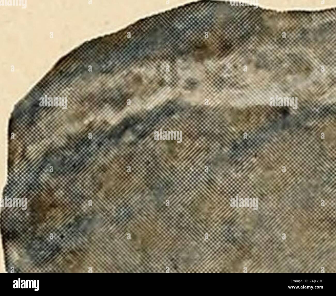 Servius tullius wall hi-res stock photography and images - Alamy