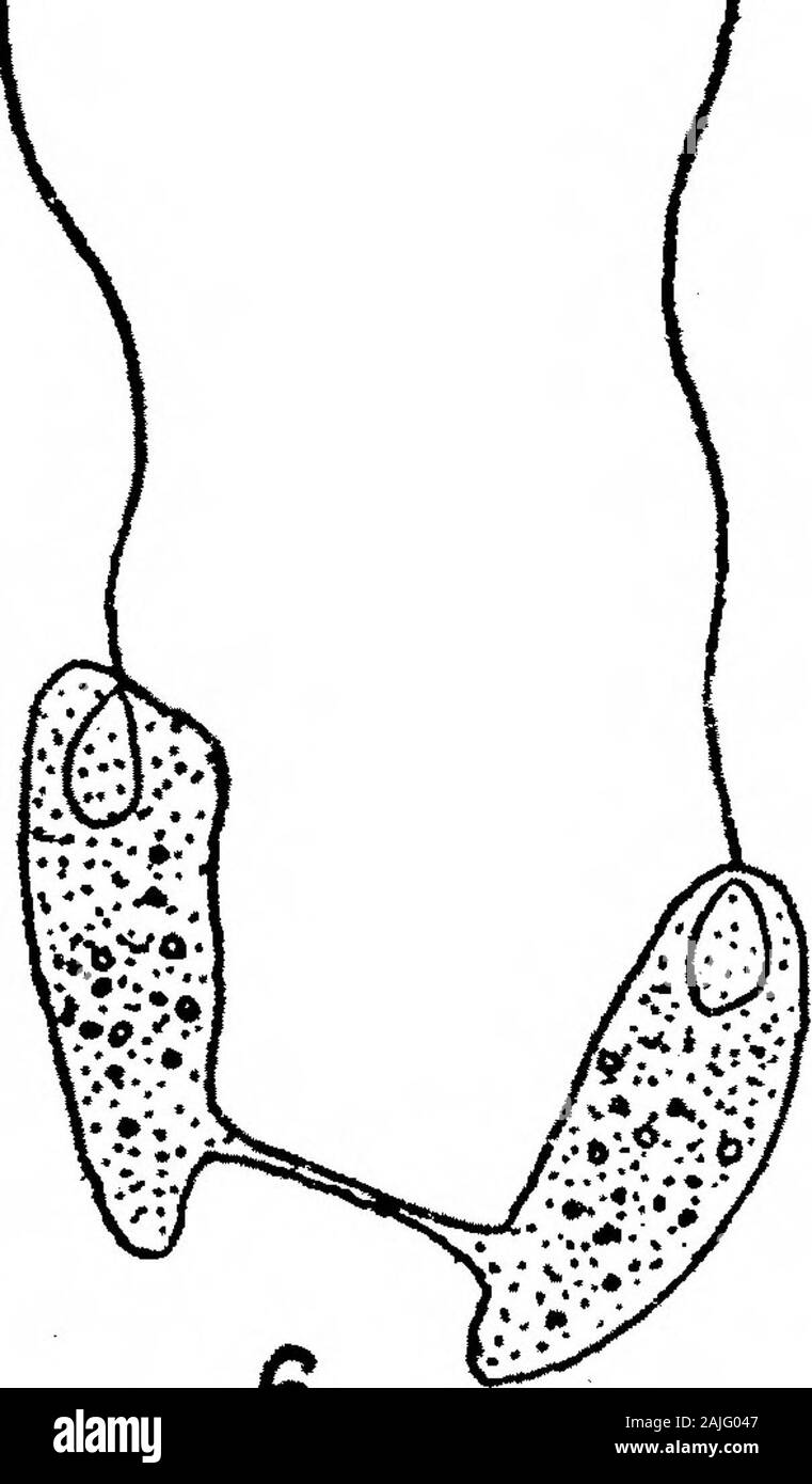 Hesitation drawing Black and White Stock Photos & Images - Alamy