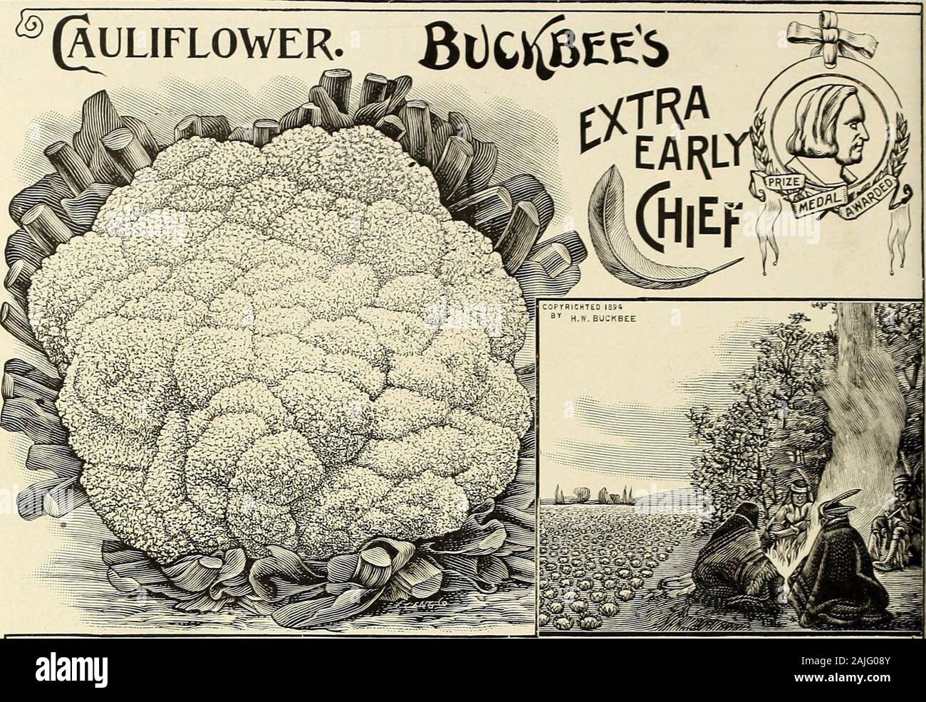 Velb hi-res stock photography and images - Alamy