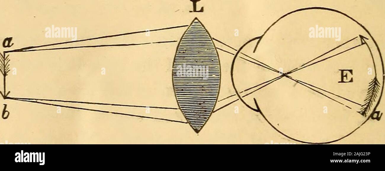 Compound microscope diagram hi-res stock photography and images - Alamy