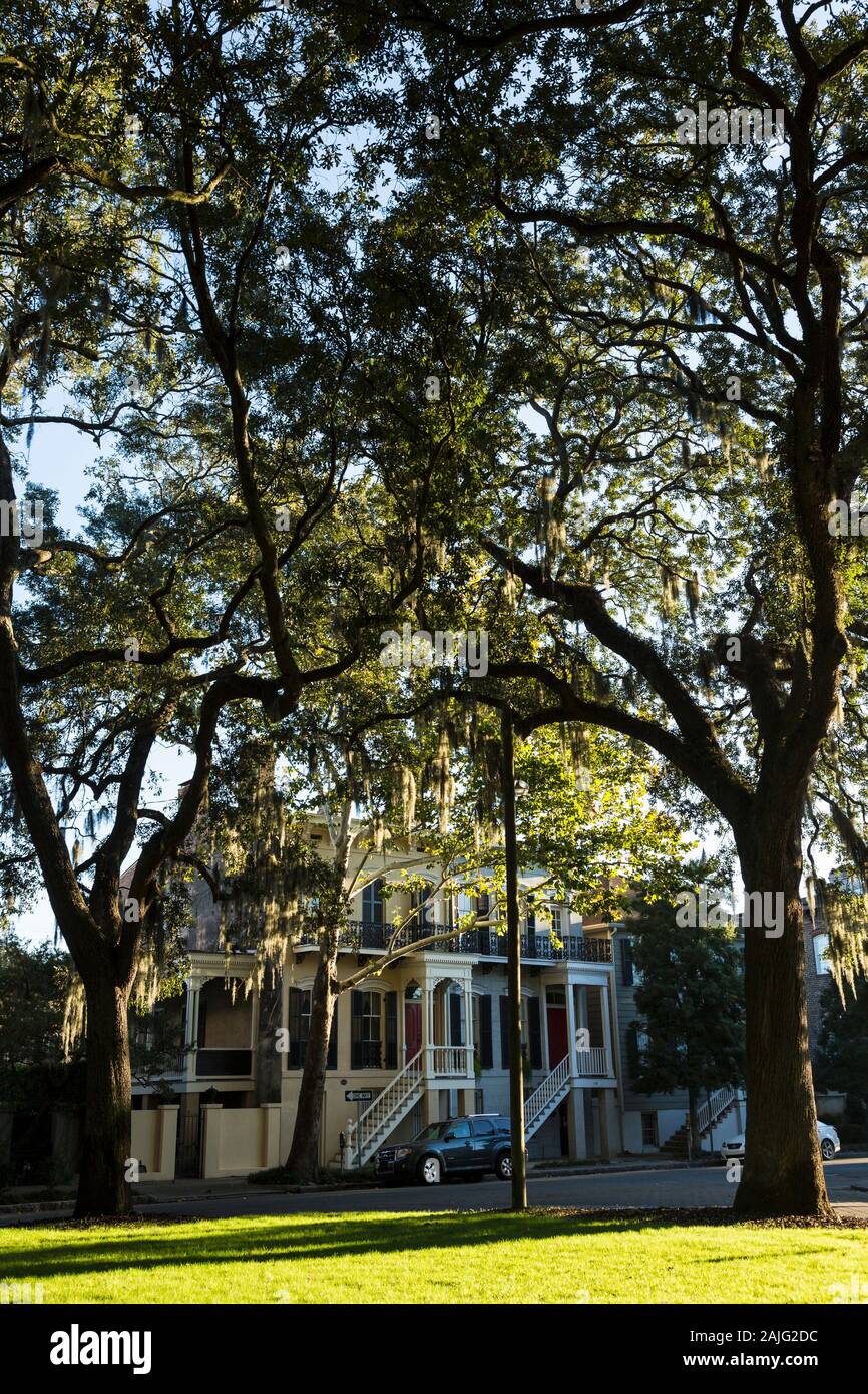 Typical savannah architecture hi-res stock photography and images - Alamy