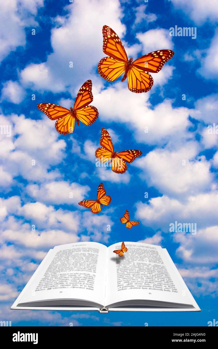 Butterflies flying hi-res stock photography and images - Alamy