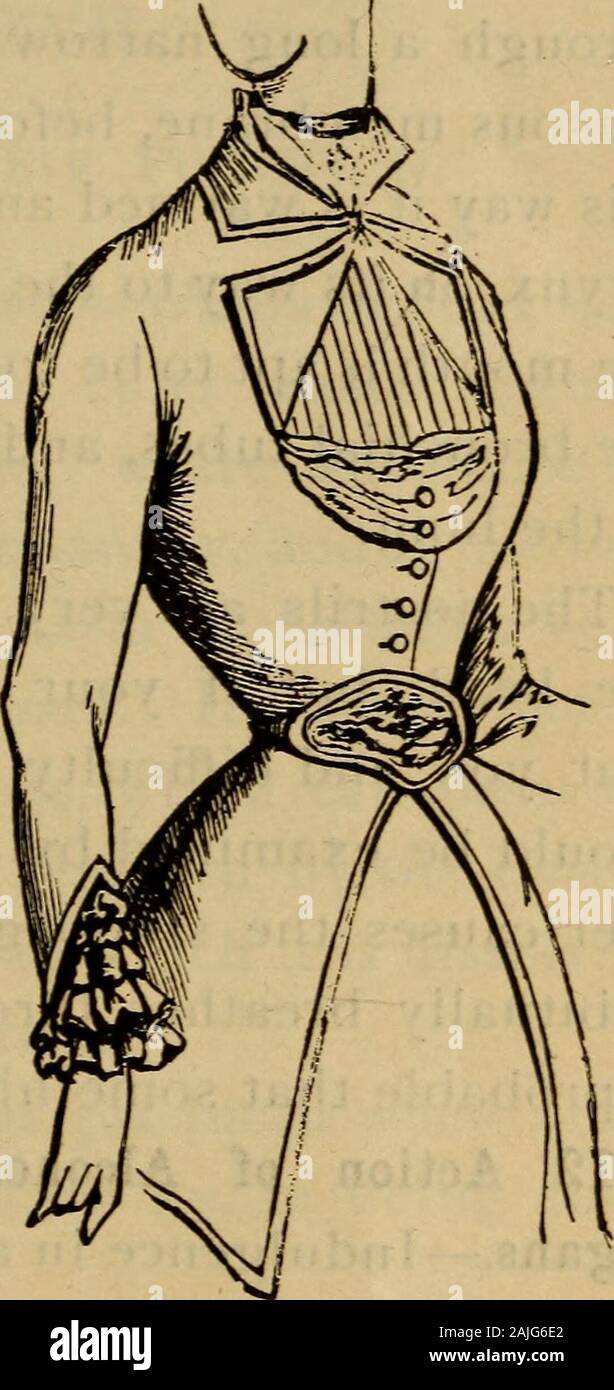 Venus anatomy hi-res stock photography and images - Alamy