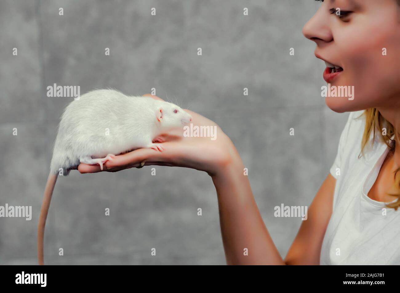 Human ear mouse hi-res stock photography and images - Alamy