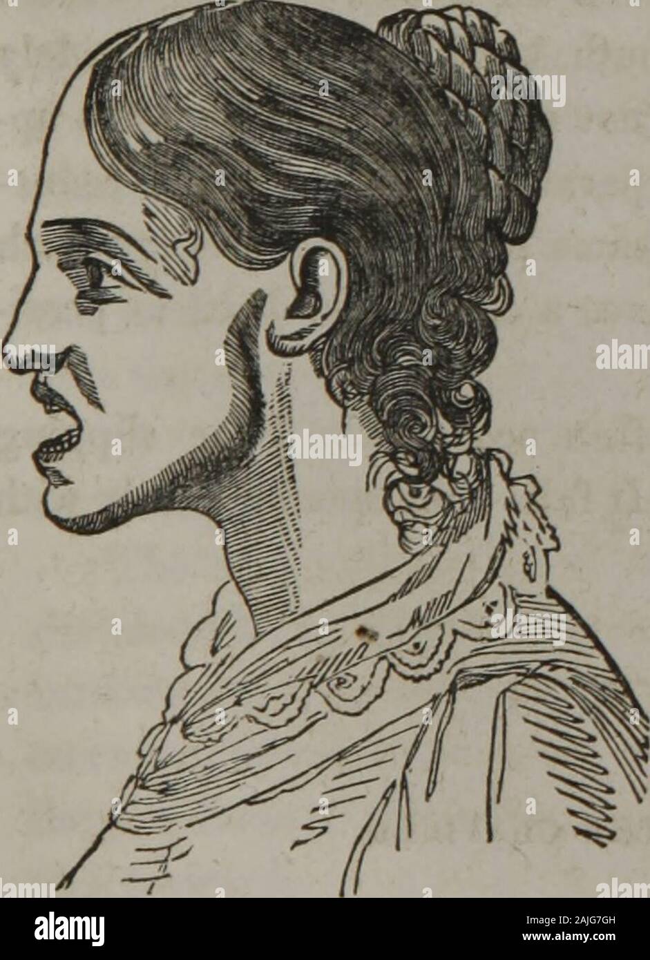 Lowerjaw hi-res stock photography and images - Alamy