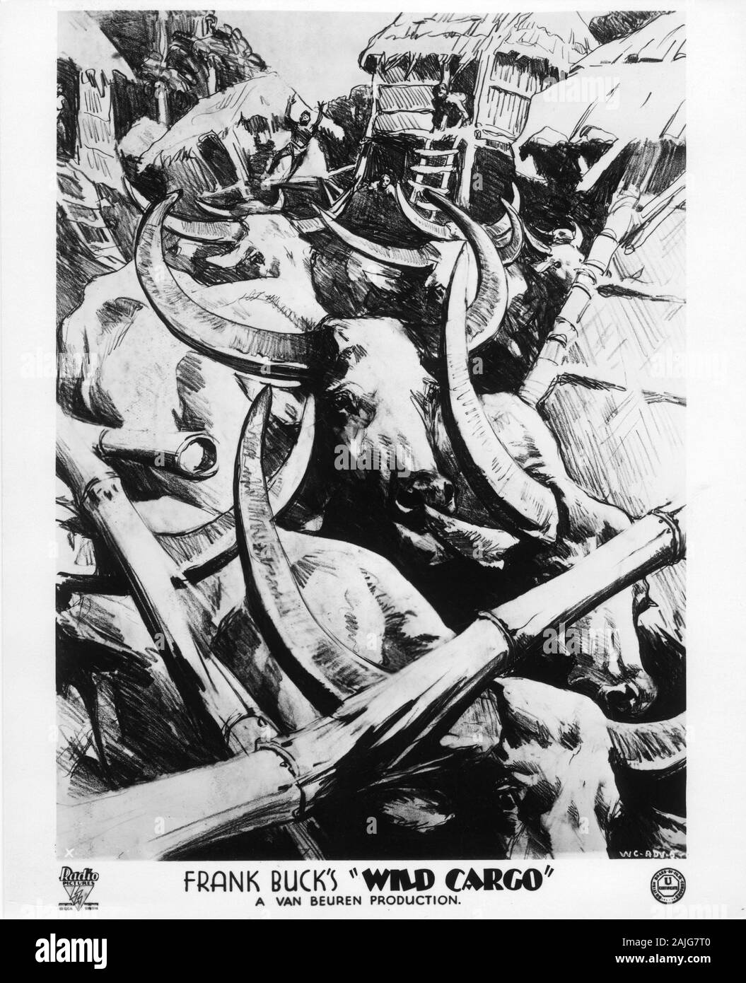 FRANK BUCK in WILD CARGO 1934 director Armand Denis Van Beuren Studios / RKO Radio Pictures ...