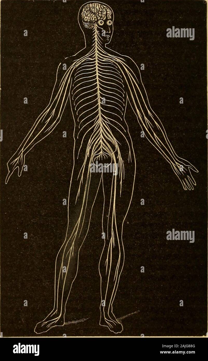 A treatise on physiology and hygiene for educational institutions and ...