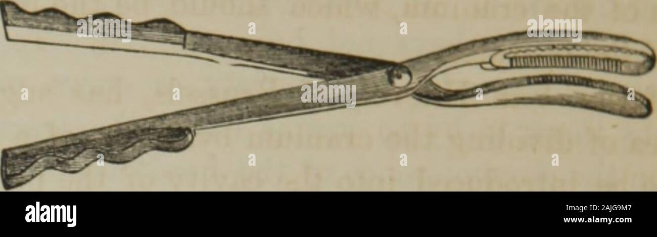 The principles and practice of obstetrics . Perforator. osteotomist of ...