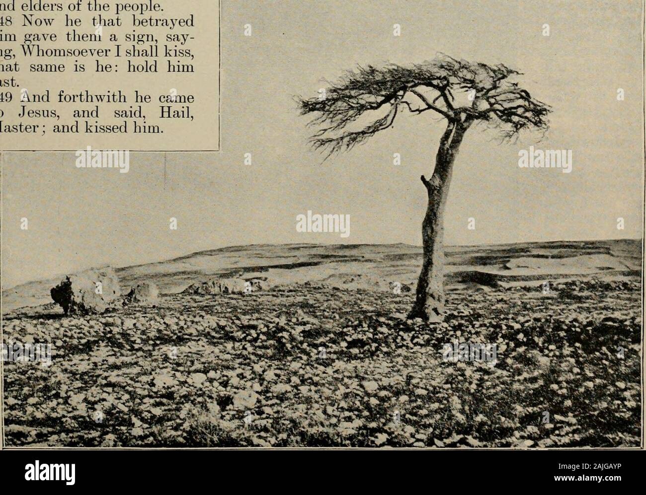 Perish by the sword hi-res stock photography and images - Alamy