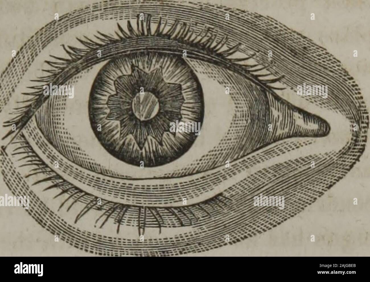 Lenticular cataract hi-res stock photography and images - Alamy