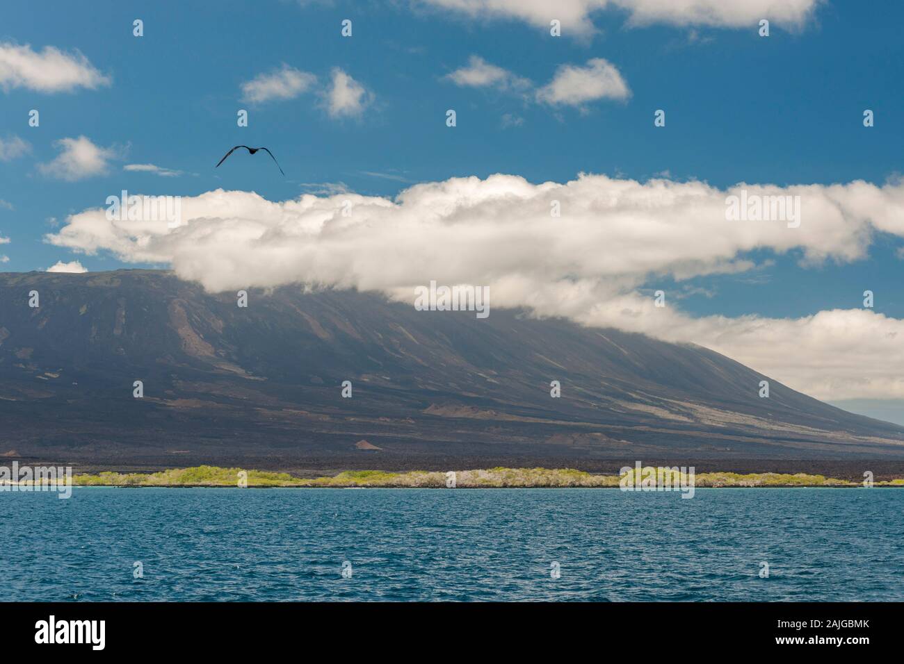La Cumbre volcano, Fernandina island, Galapagos, Ecuador Stock Photo ...