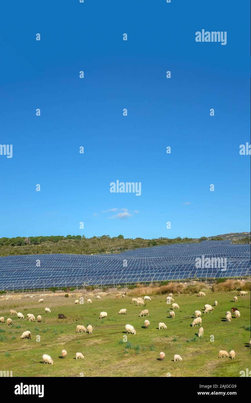 Solar energy parks hi-res stock photography and images - Alamy