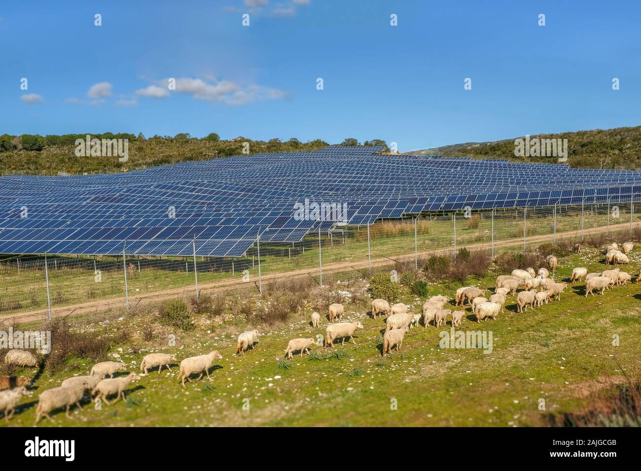Solar panel park. energy, ecology,save the planette Stock Photo - Alamy