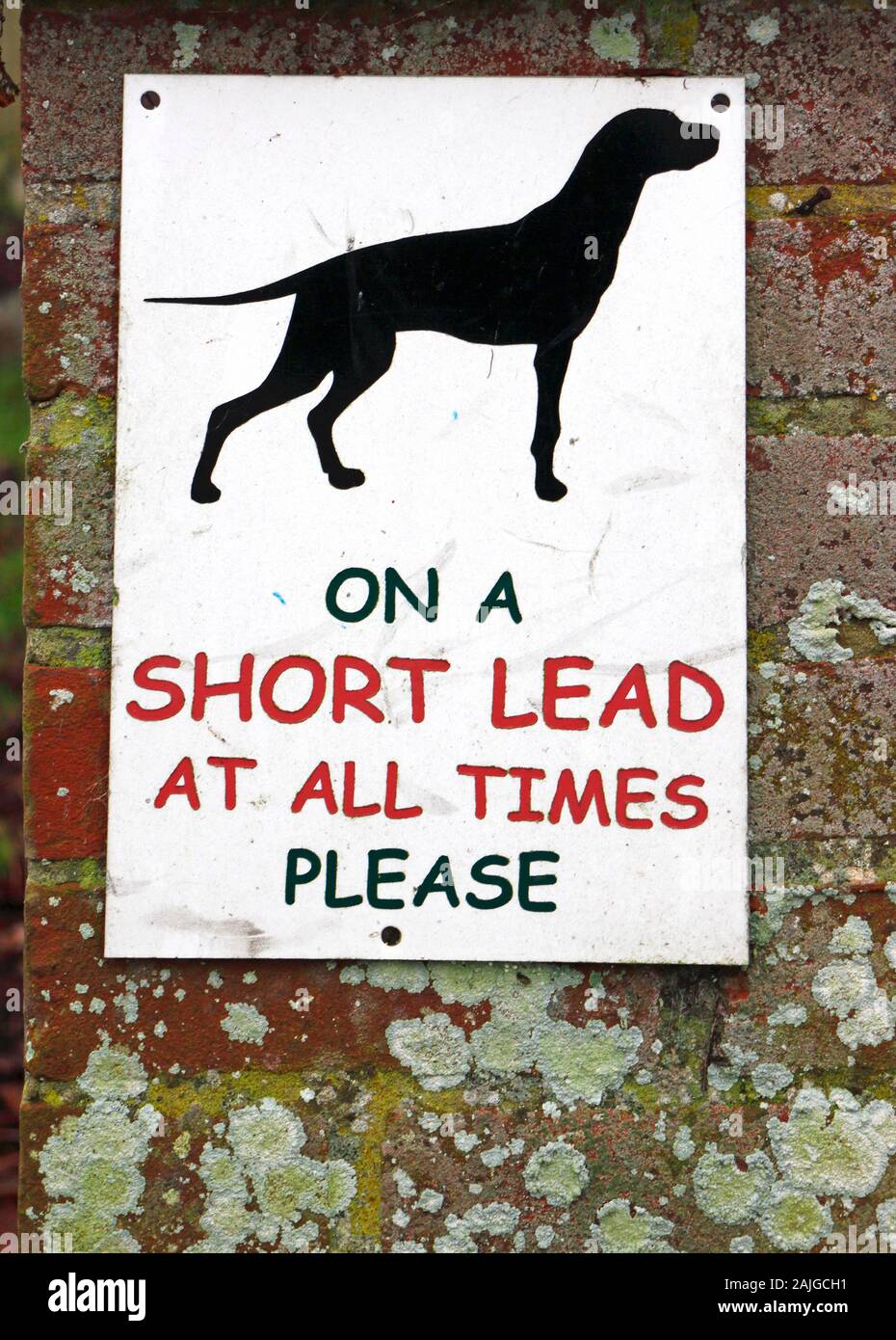 Please please dogs on lead sign hi-res stock photography and images - Alamy