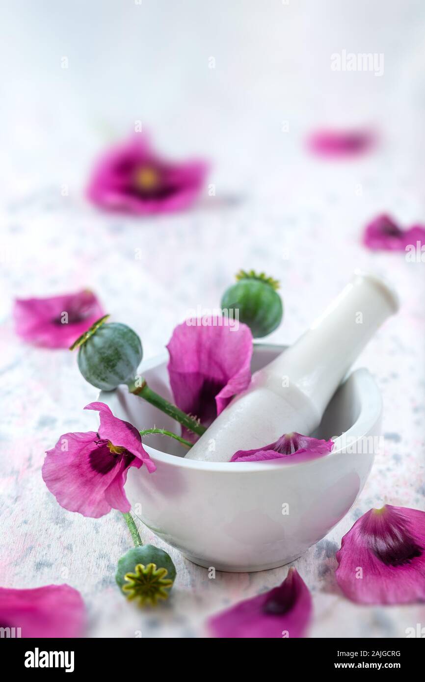 Opium abuse hi-res stock photography and images - Alamy