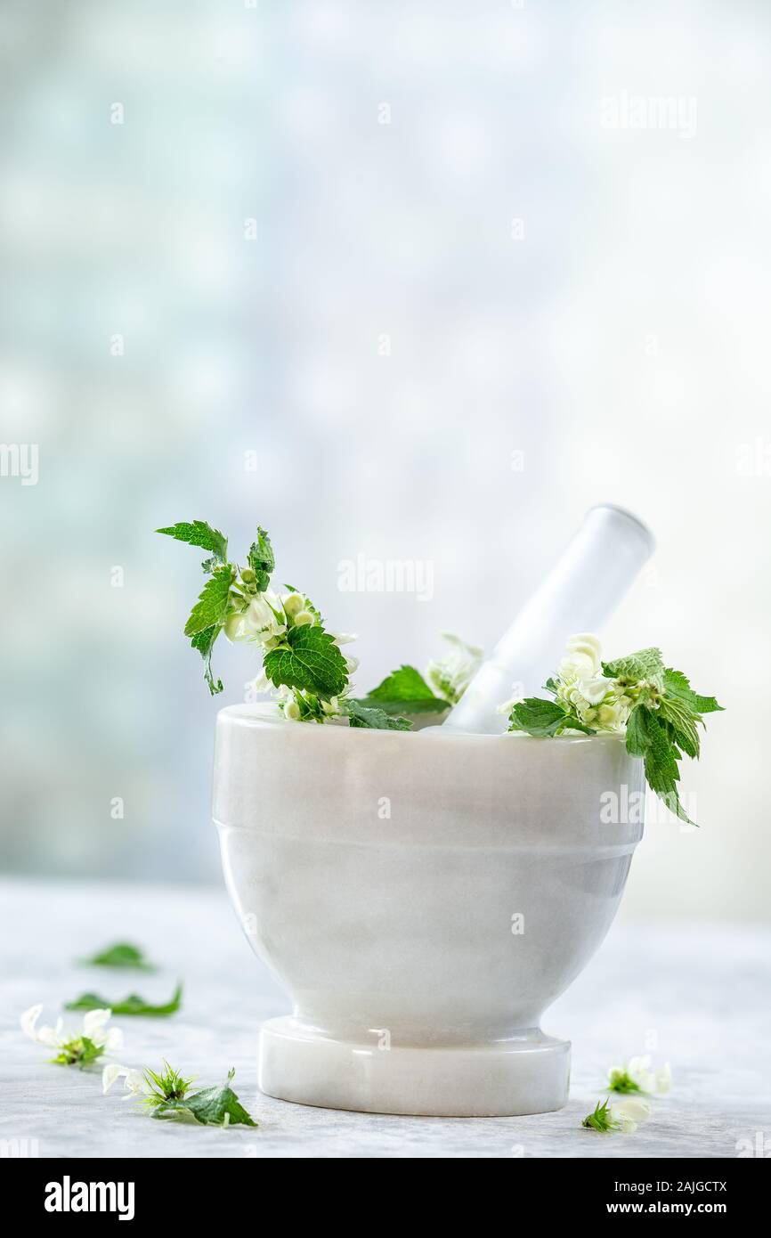 Phytotherapy hi-res stock photography and images - Alamy