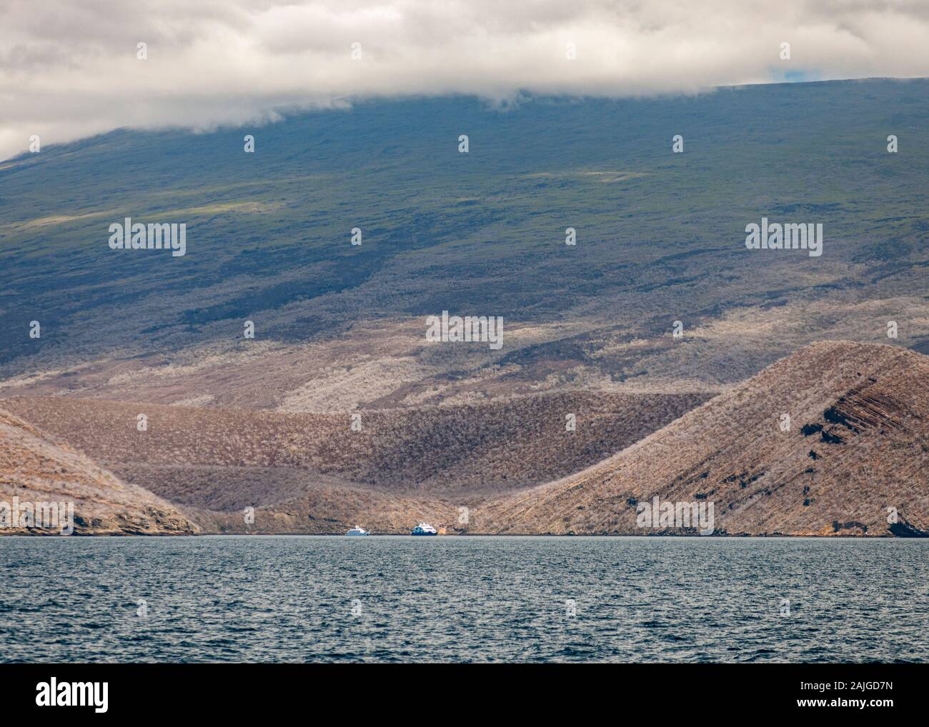 Isabela island galapagos hi-res stock photography and images - Alamy
