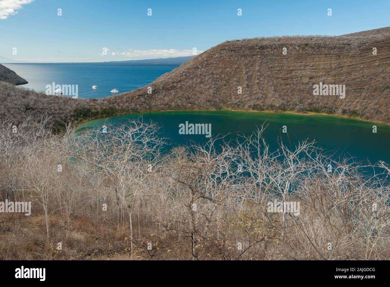 Darwin lake and Tagus Cove on Isabela island, Galapagos, Ecuador Stock ...