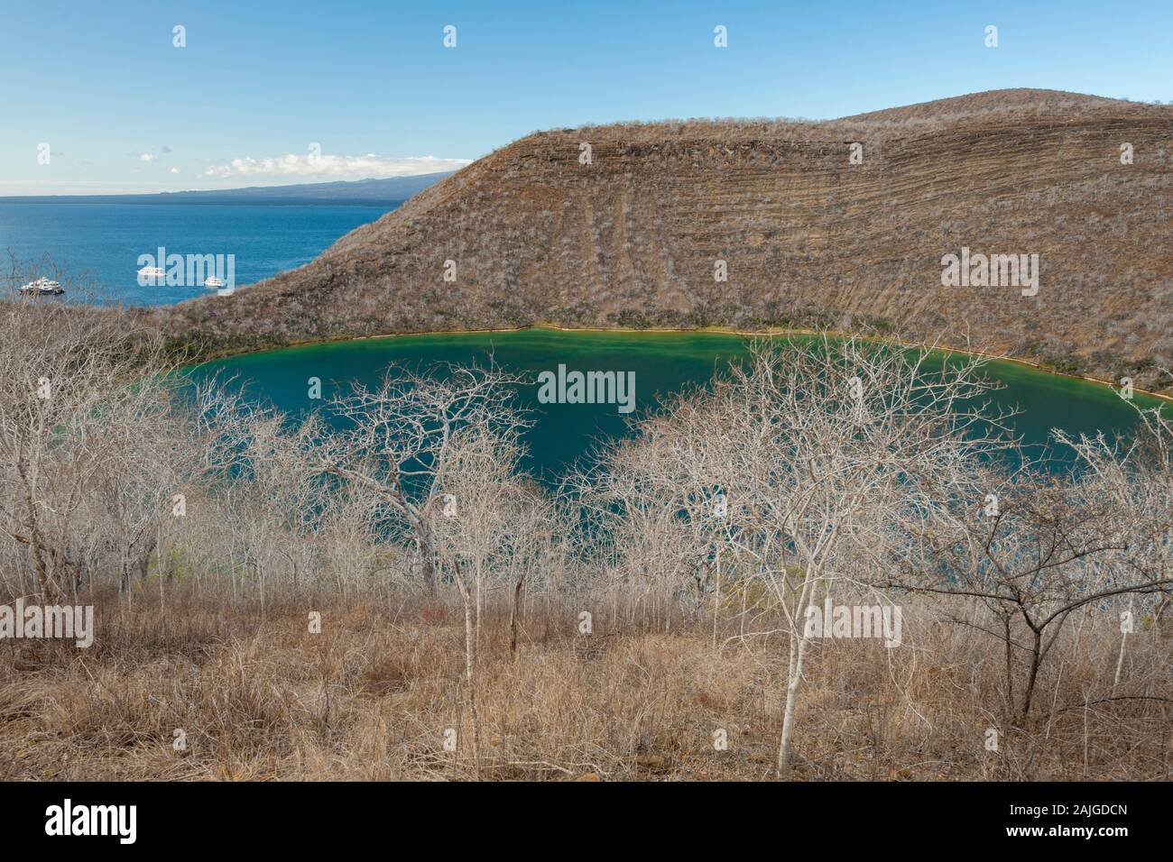 Darwin lake and Tagus Cove on Isabela island, Galapagos, Ecuador Stock ...