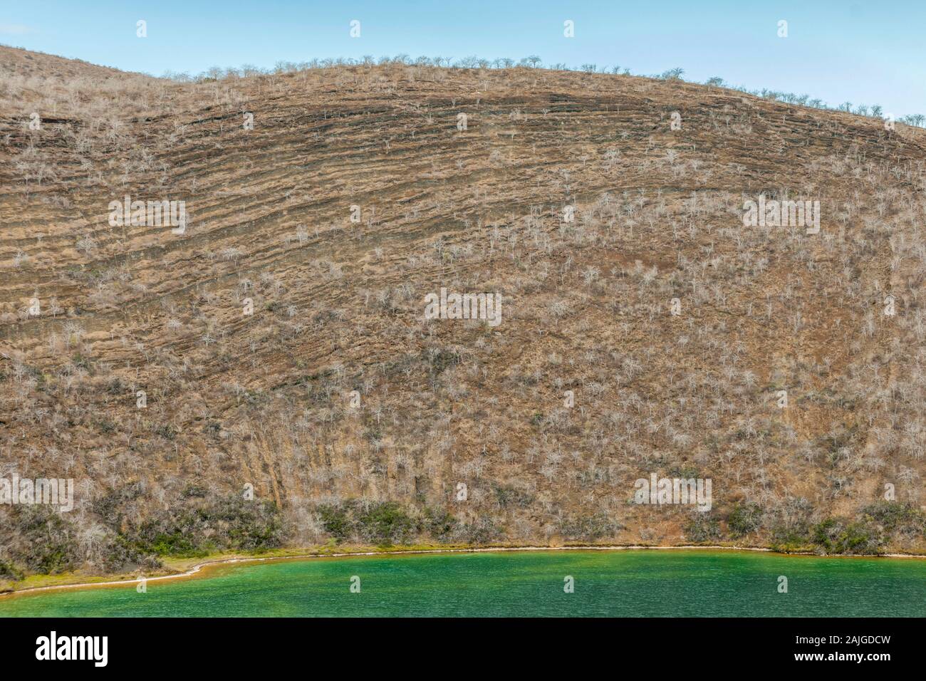 Darwin lake on Isabela island, Galapagos, Ecuador Stock Photo - Alamy