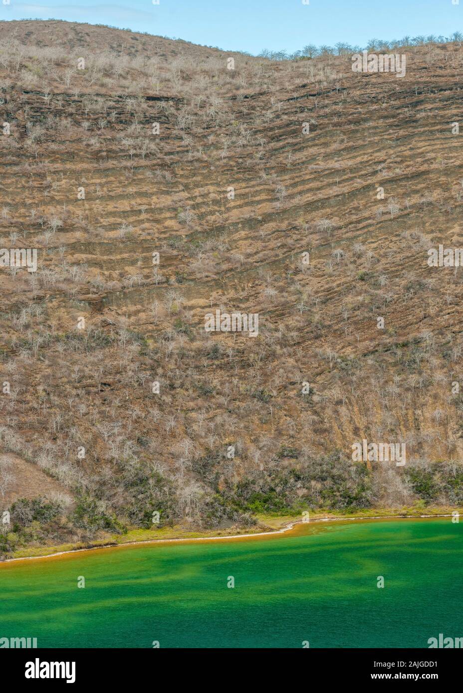 Darwin lake on Isabela island, Galapagos, Ecuador Stock Photo - Alamy