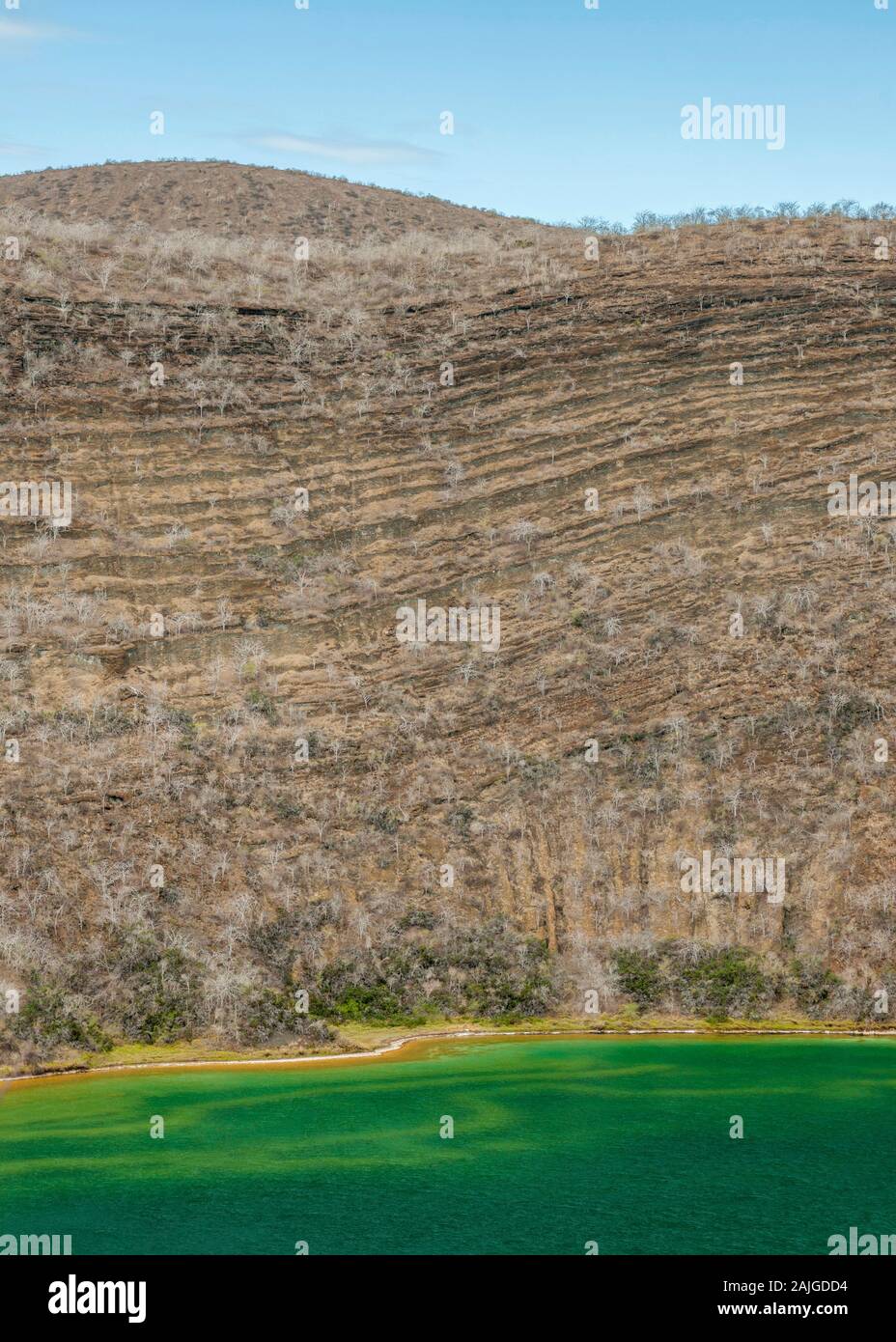 Darwin lake on Isabela island, Galapagos, Ecuador Stock Photo - Alamy