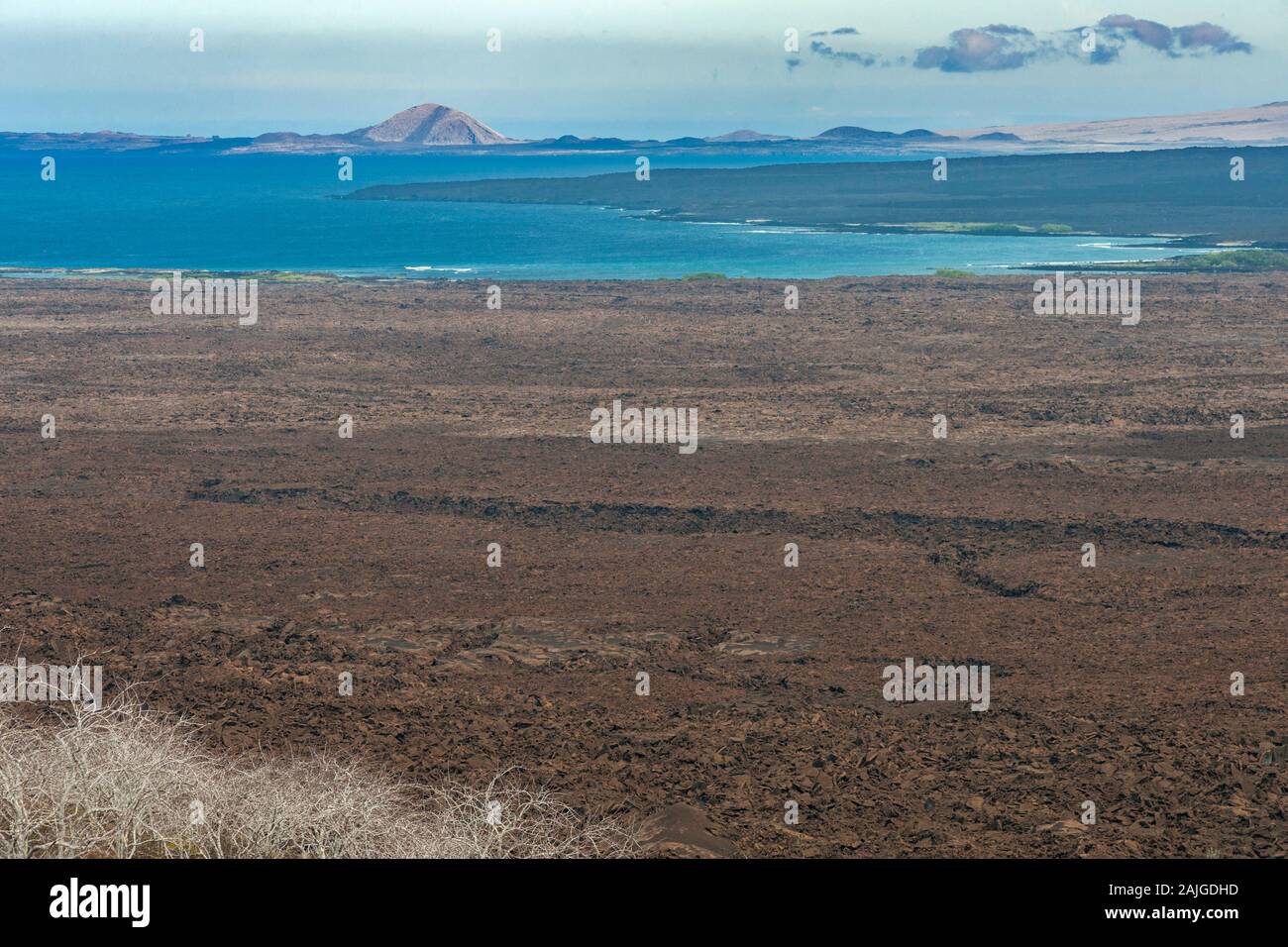 Landscape of Isabela island near Tagus Cove, Galapagos, Ecuador Stock ...