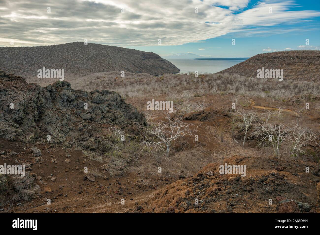 Landscape of Isabela island near Tagus Cove, Galapagos, Ecuador Stock ...