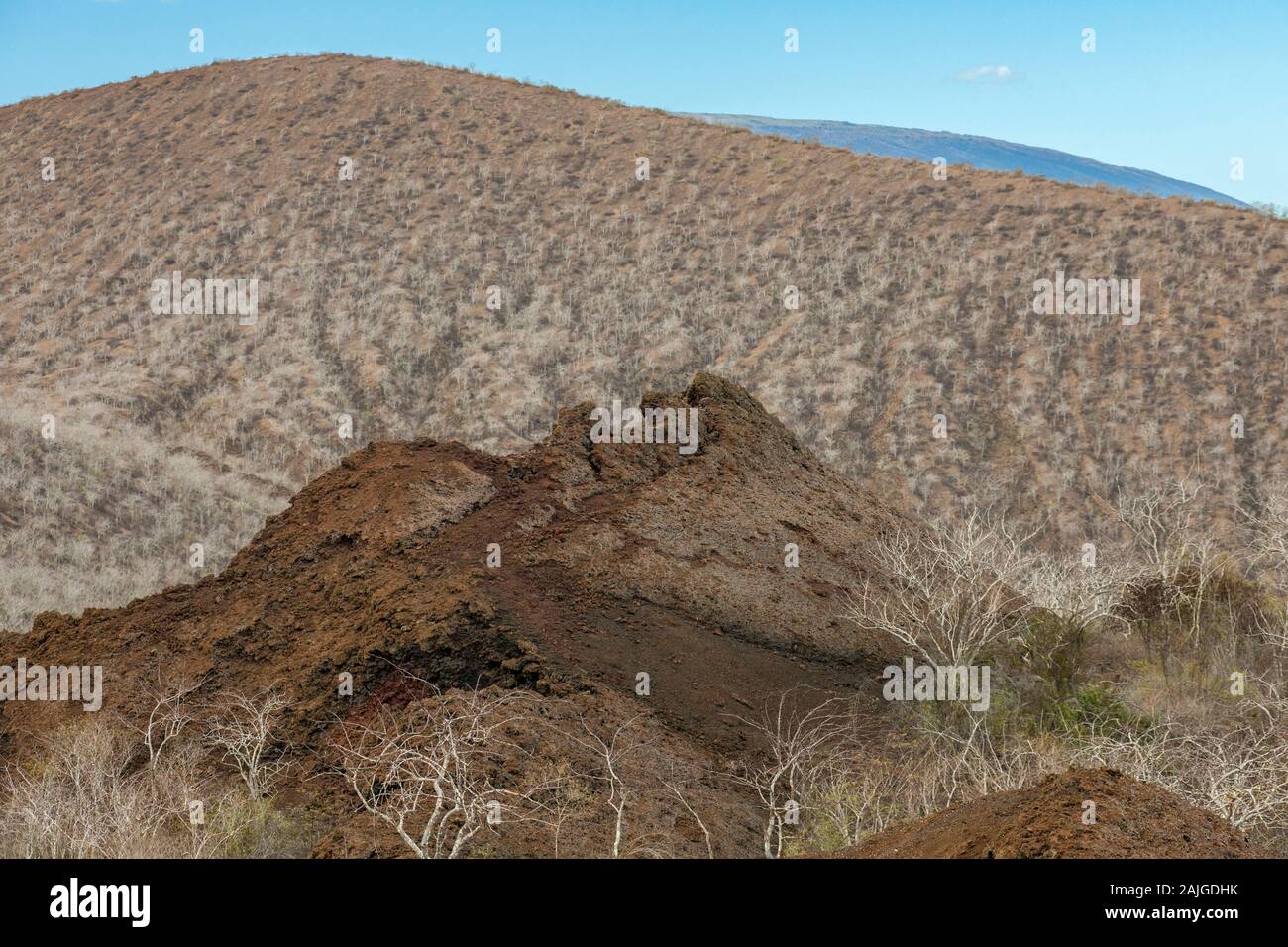 Landscape of Isabela island near Tagus Cove, Galapagos, Ecuador Stock ...
