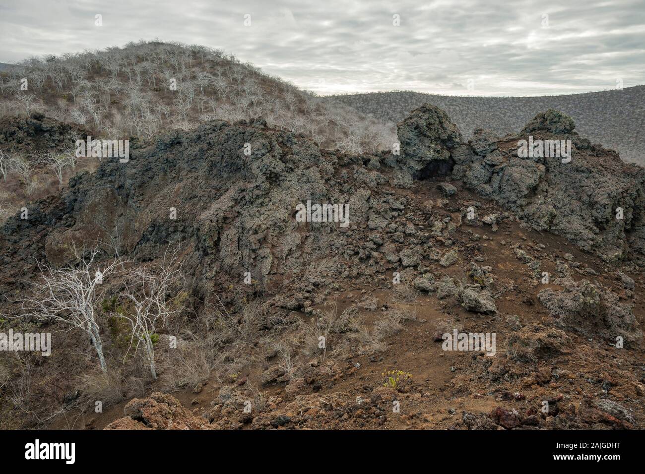 Landscape of Isabela island near Tagus Cove, Galapagos, Ecuador Stock ...