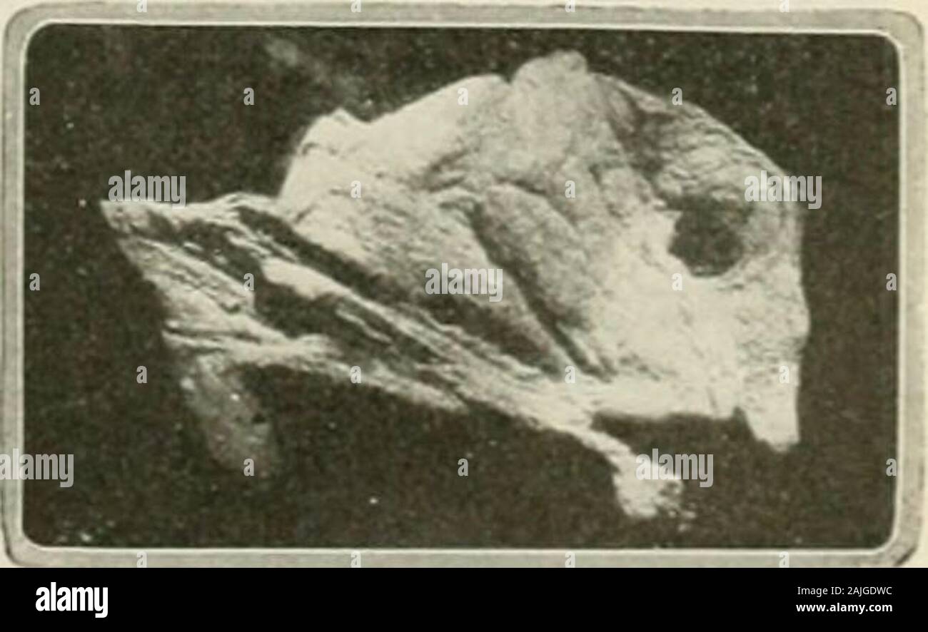 Drifti hi-res stock photography and images - Alamy