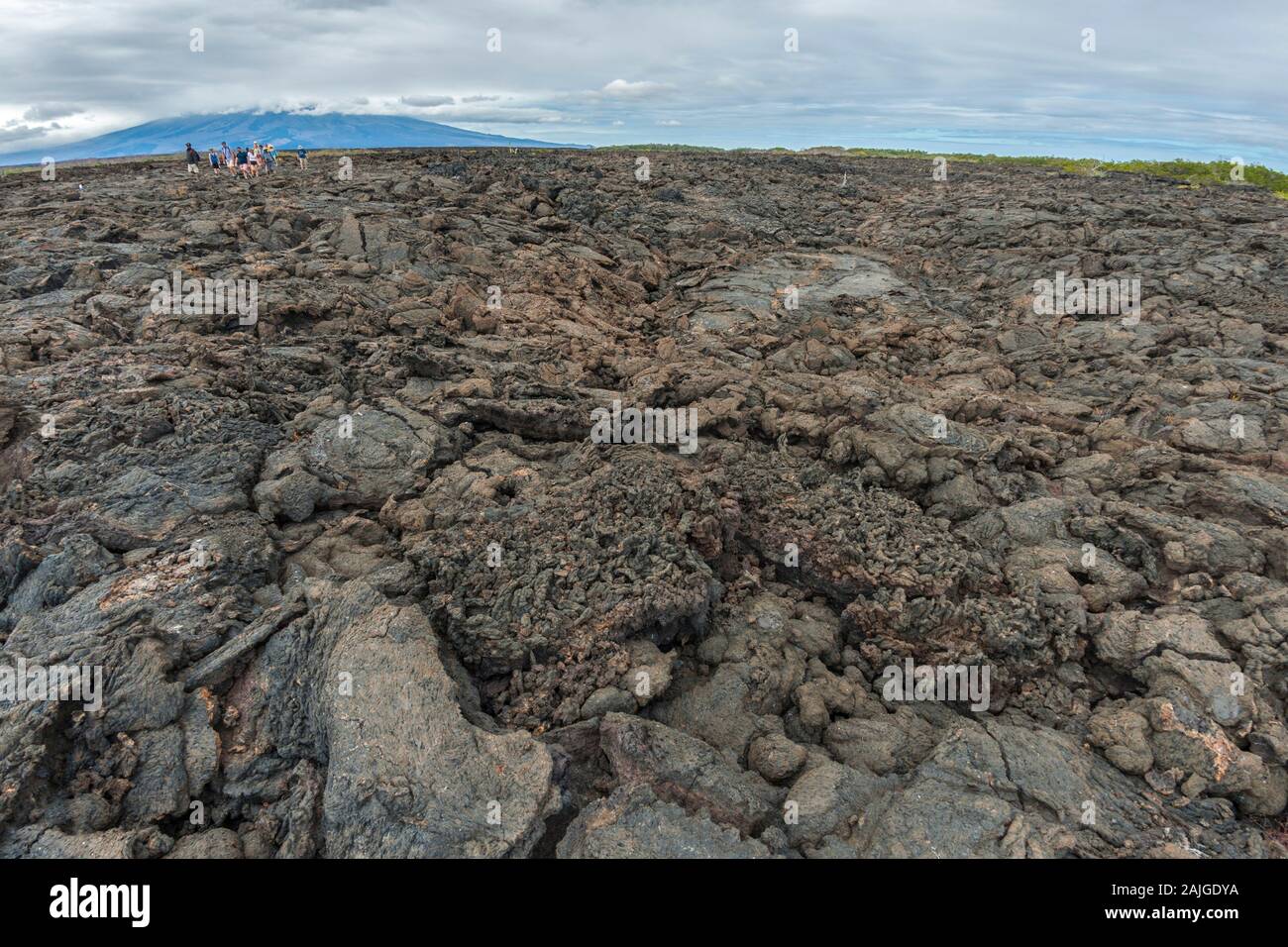 Tourists walking on the volcanic landscape at Punta Moreno on Isabela ...