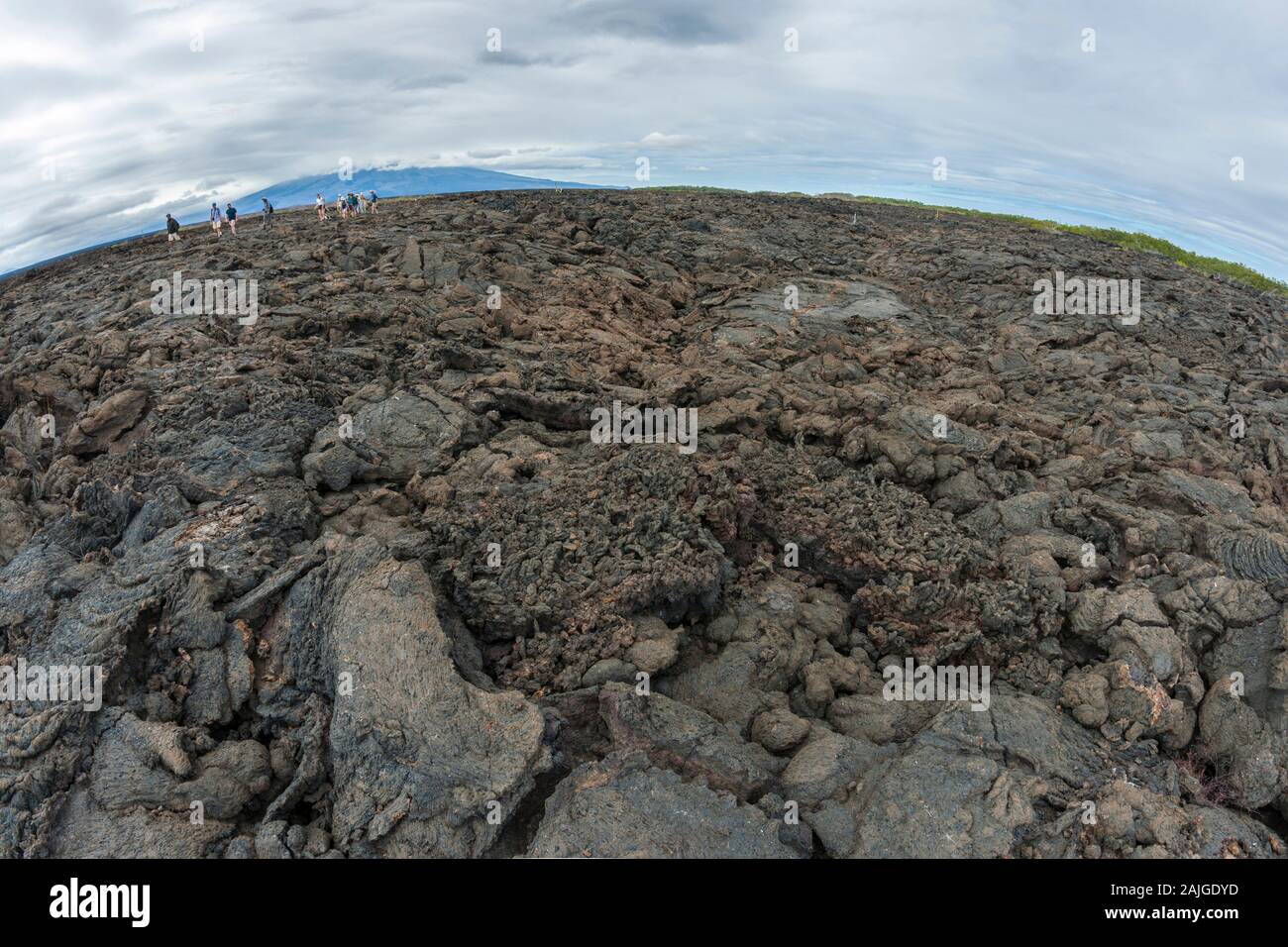 Isabela island volcano hi-res stock photography and images - Alamy