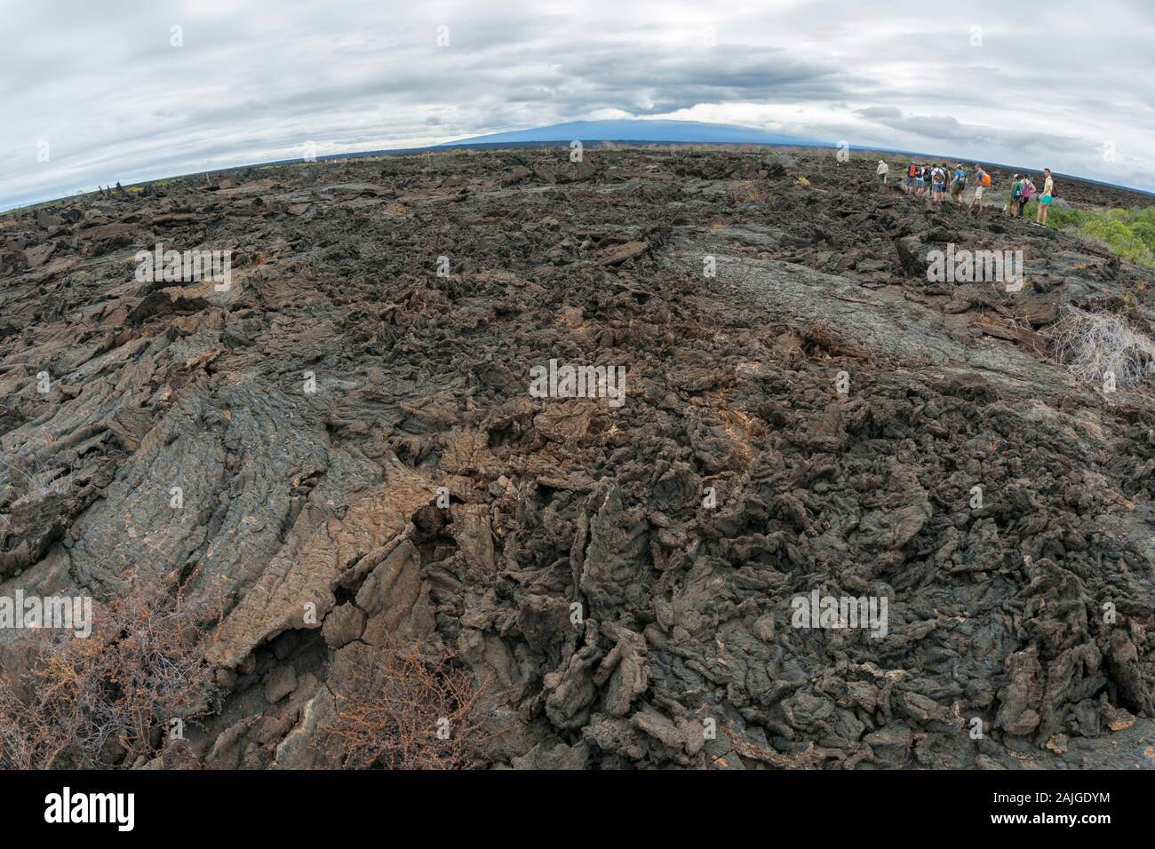 Isabela island volcano hi-res stock photography and images - Alamy