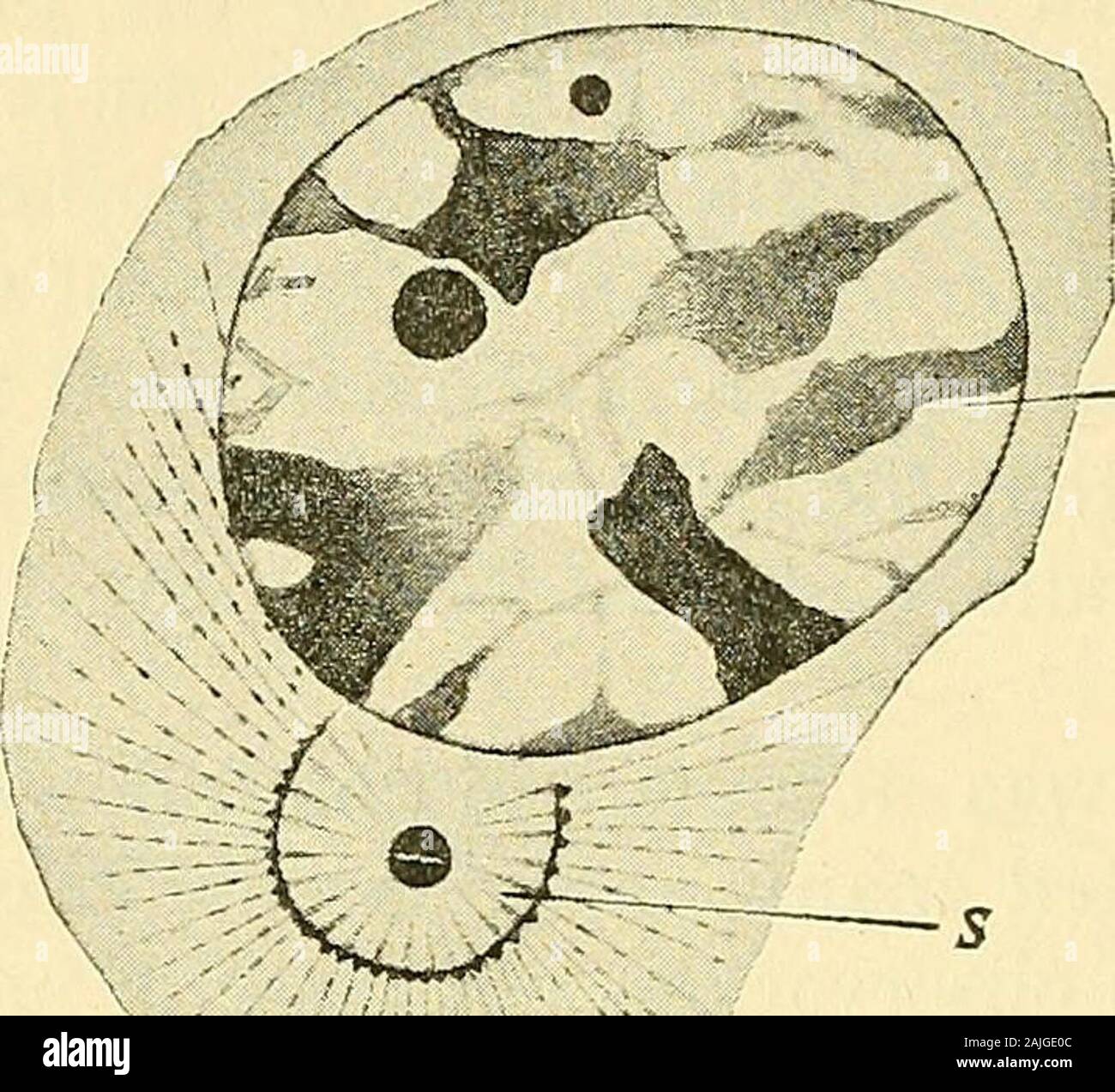 Clear precisely hi-res stock photography and images - Alamy