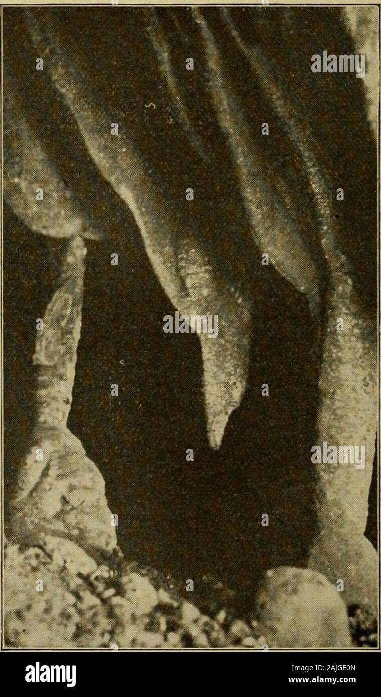 Stalagmite structures hi-res stock photography and images - Alamy