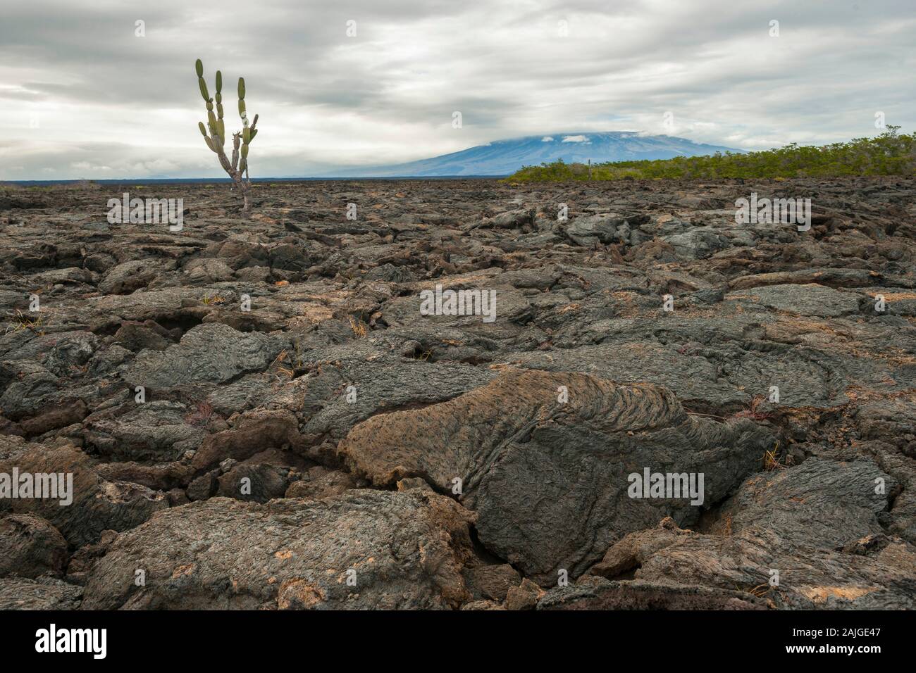 Cerro azul volcano galapagos hi-res stock photography and images - Alamy