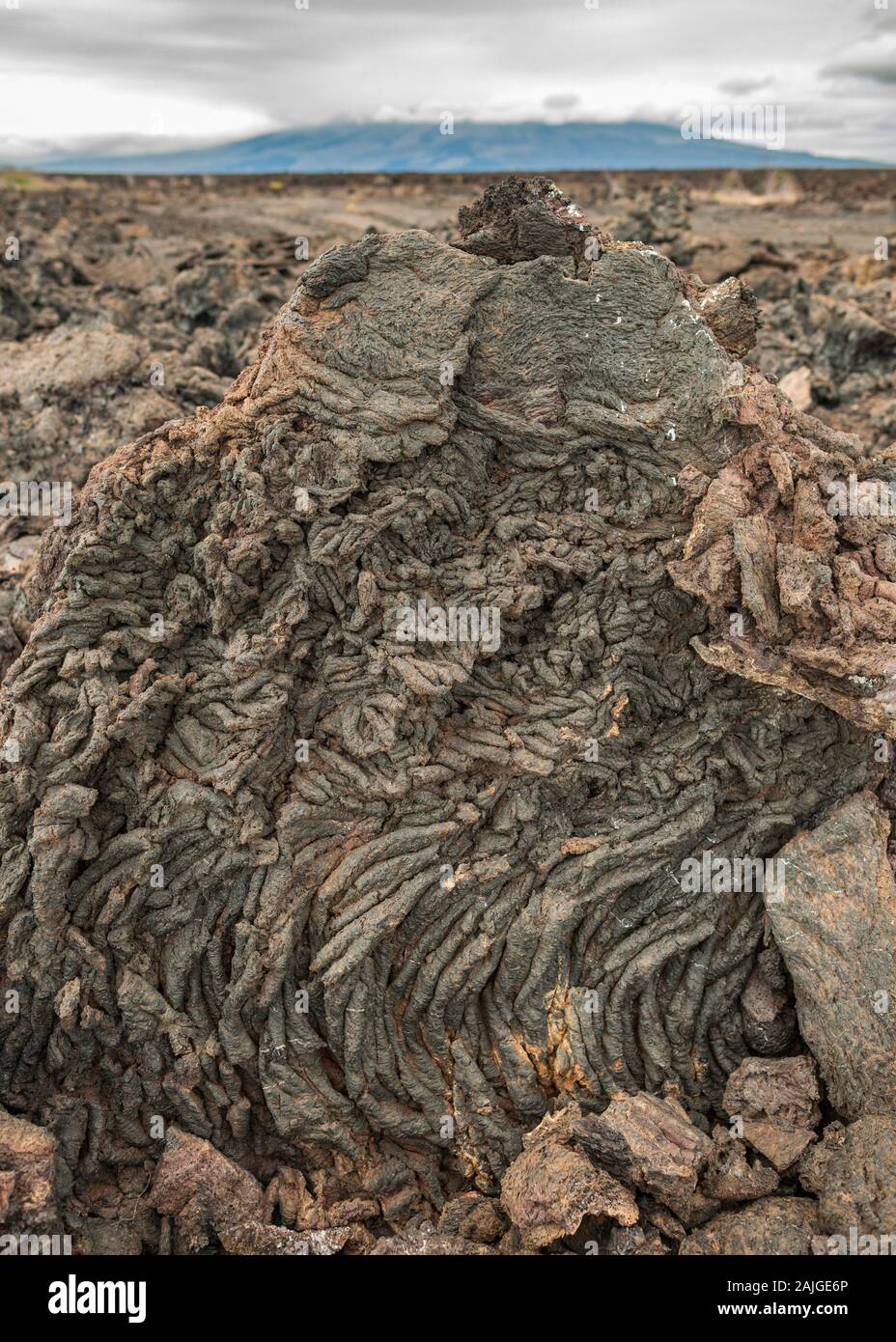 The volcanic landscape at Punta Moreno on Isabela island, Galapagos ...
