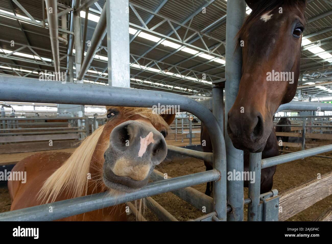 Fire rescue victoria hi-res stock photography and images - Alamy