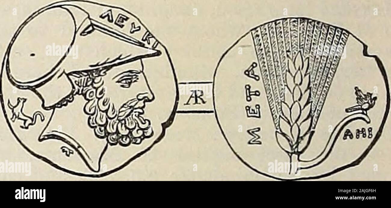 Metanira hi-res stock photography and images - Alamy