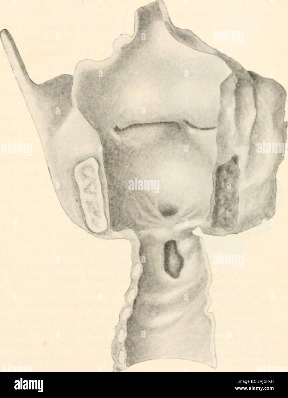 Manual of pathology : including bacteriology, the technic of ...