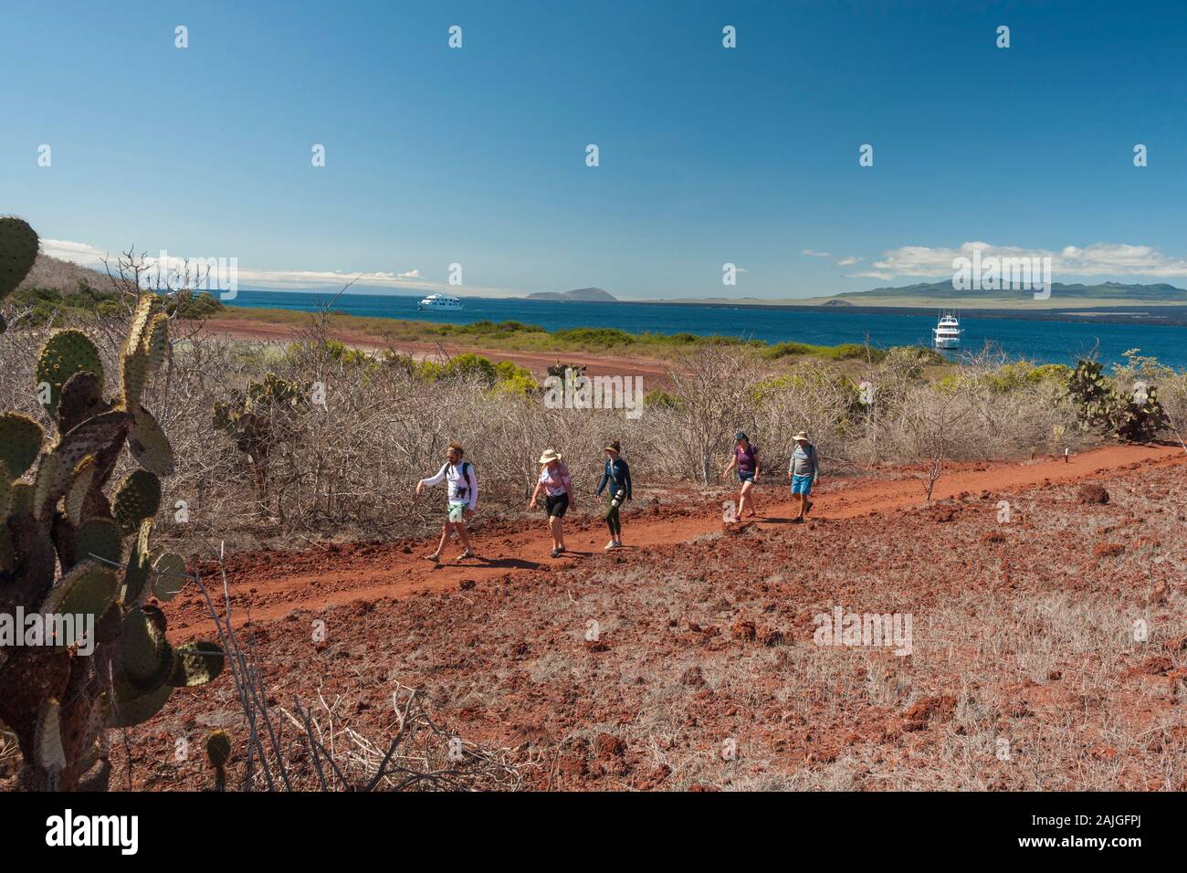 Tourists walking on Rabida island, Galapagos, Ecuador Stock Photo - Alamy