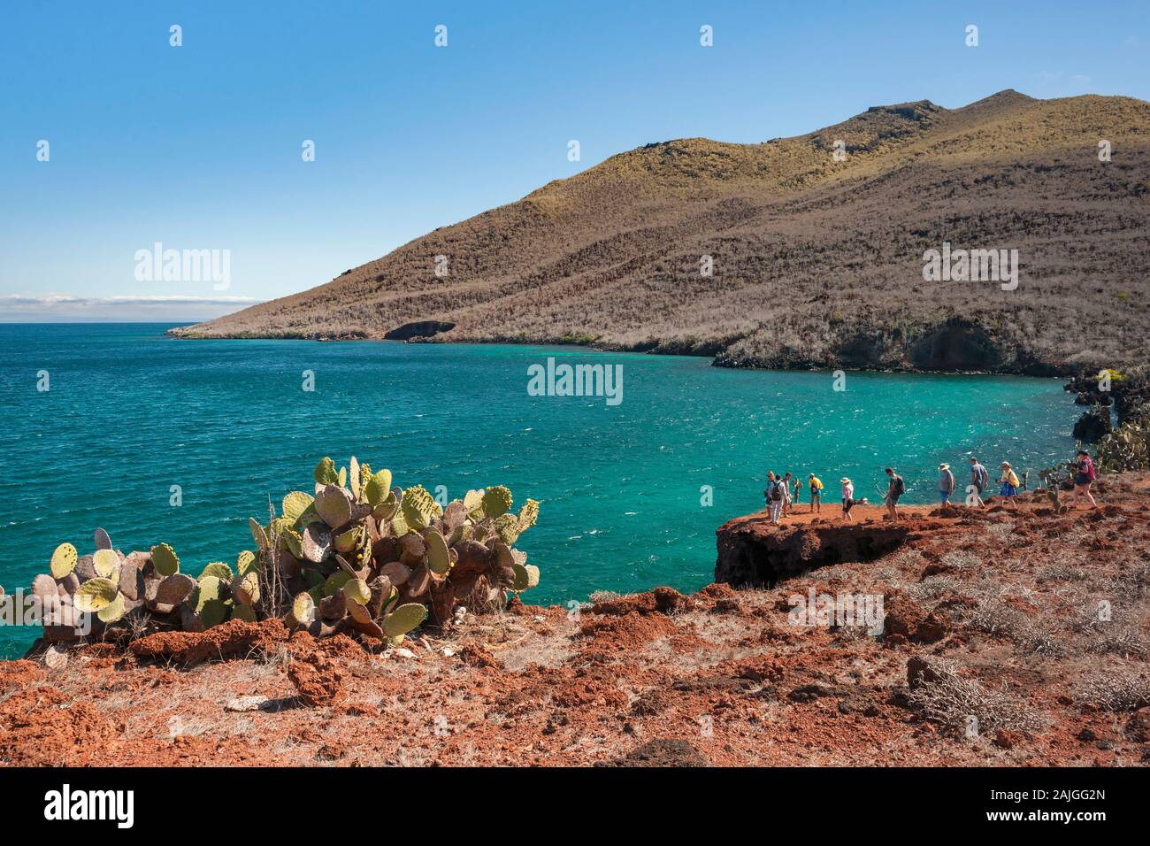 Landscape of Rabida island, Galapagos, Ecuador Stock Photo - Alamy