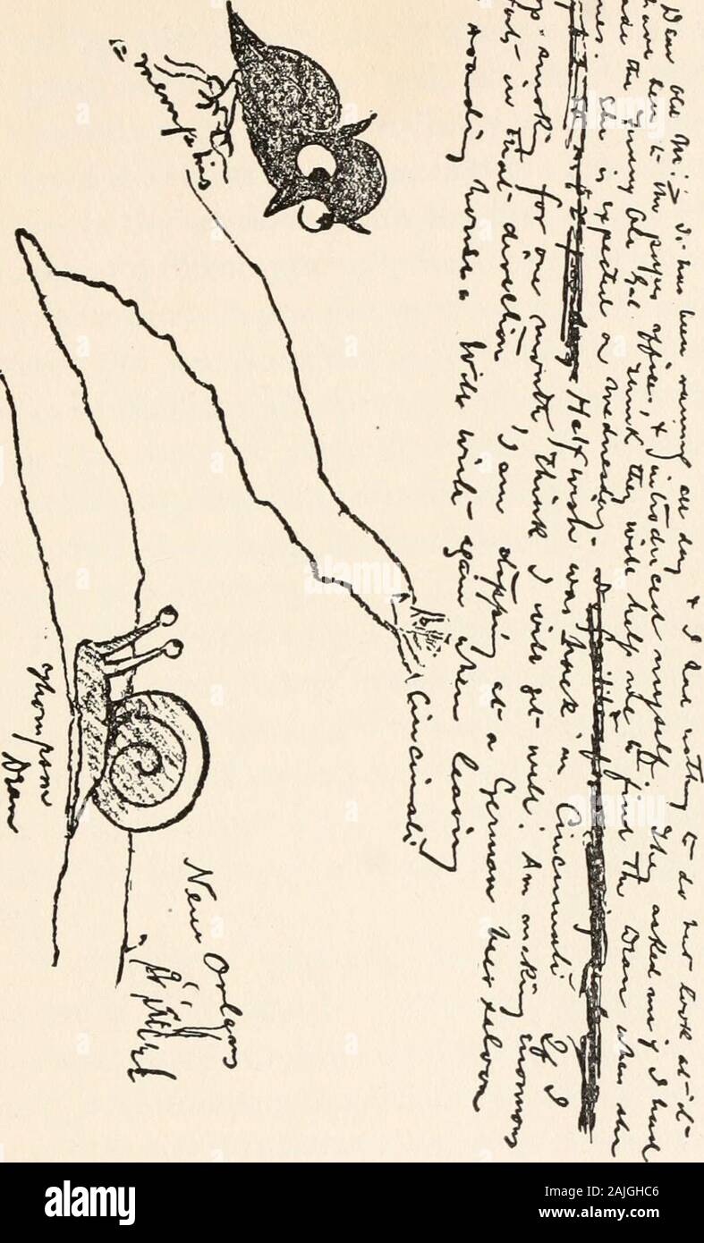 Newfaces hi-res stock photography and images - Alamy