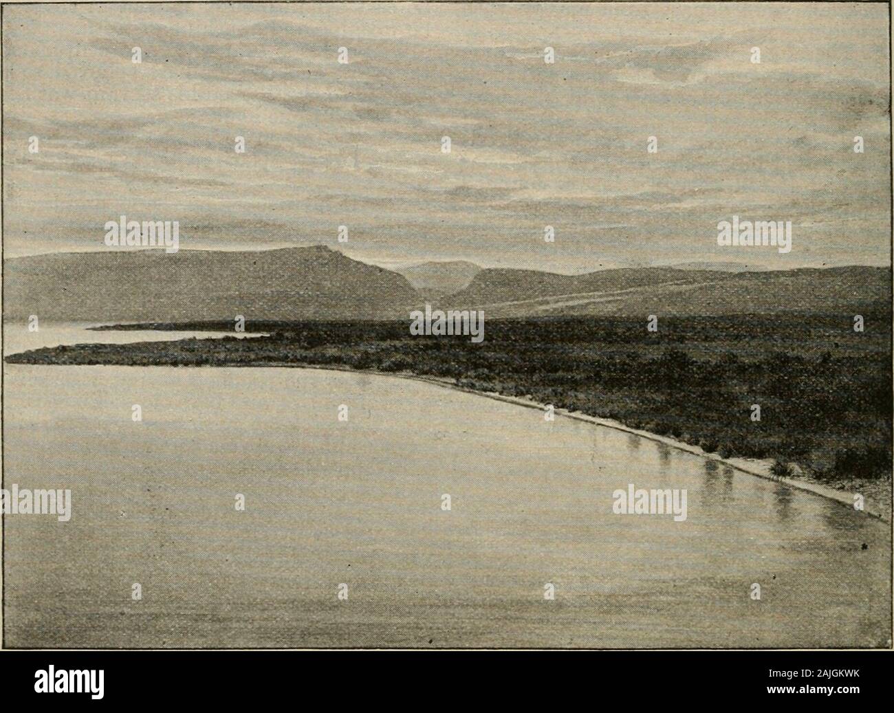 Herdof hi-res stock photography and images - Alamy