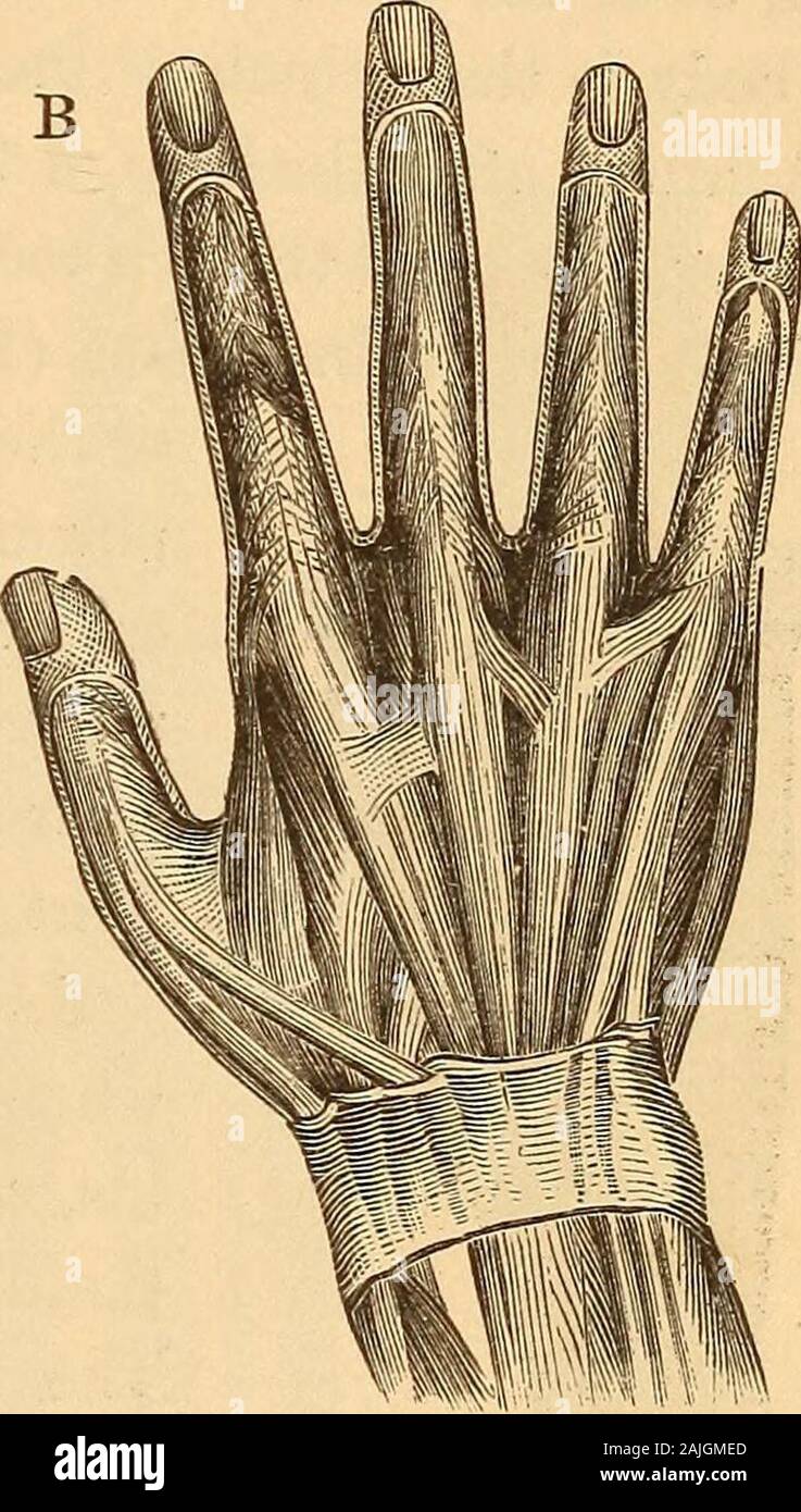 A treatise on physiology and hygiene for educational institutions and ...