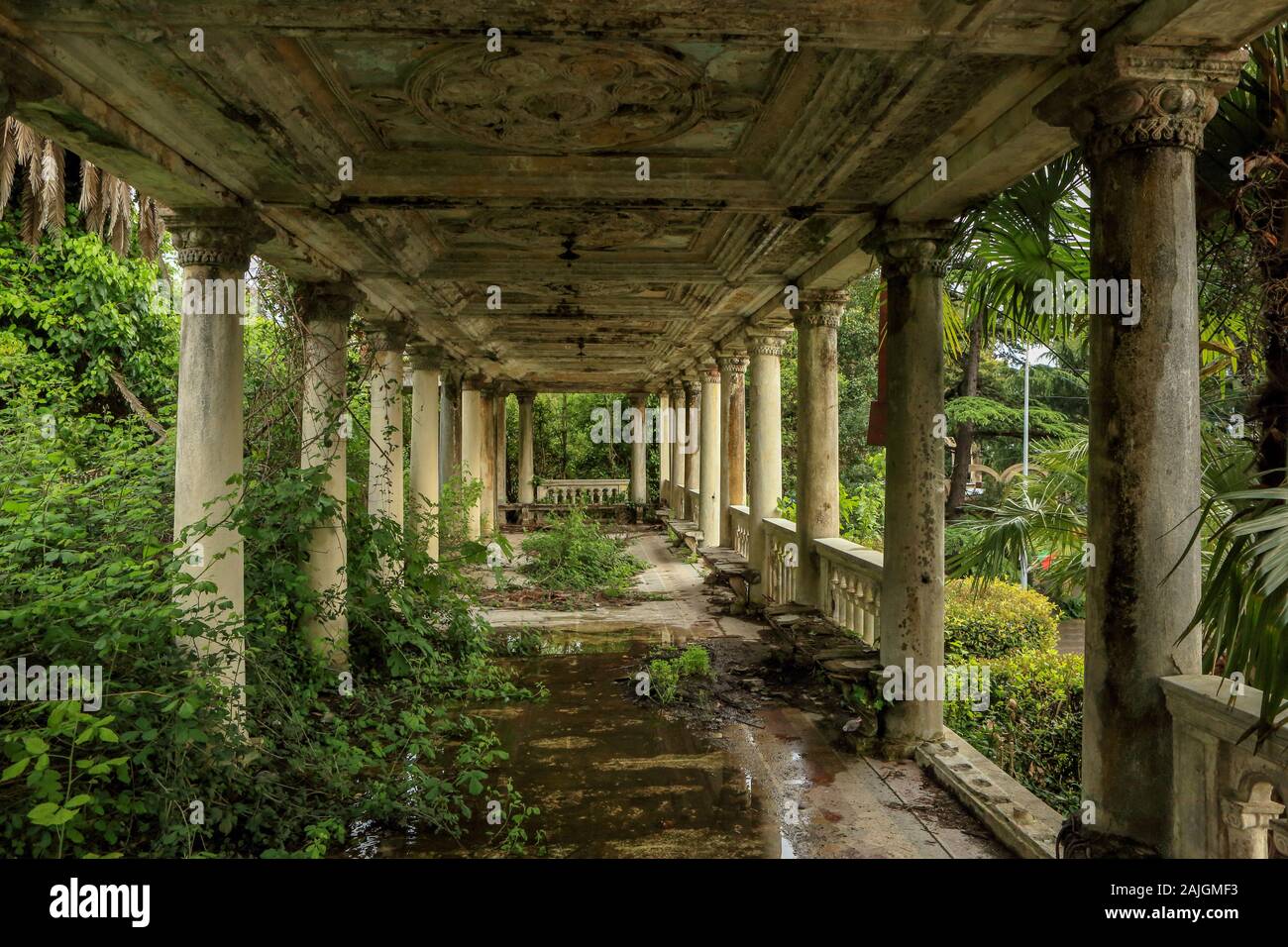 Overgrown railway hi-res stock photography and images - Alamy