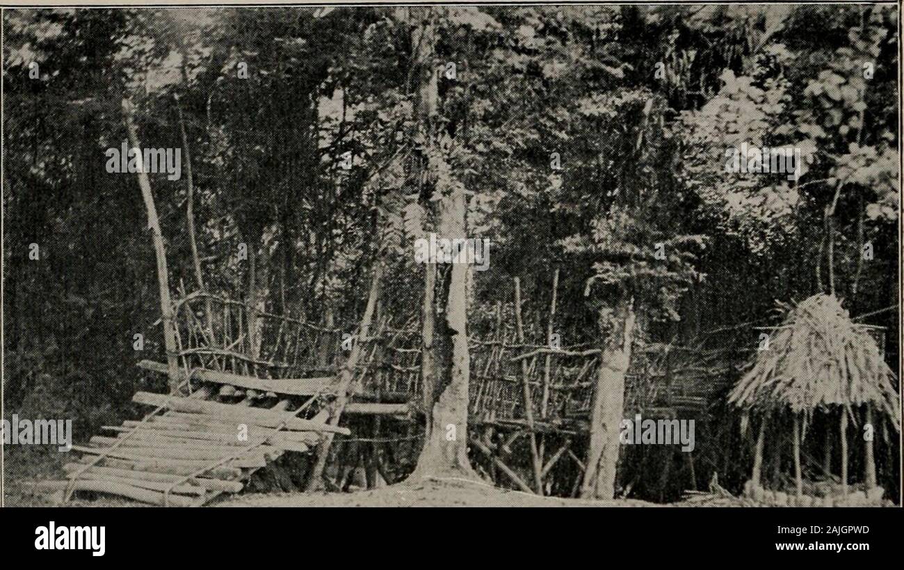 Leza hi-res stock photography and images - Alamy